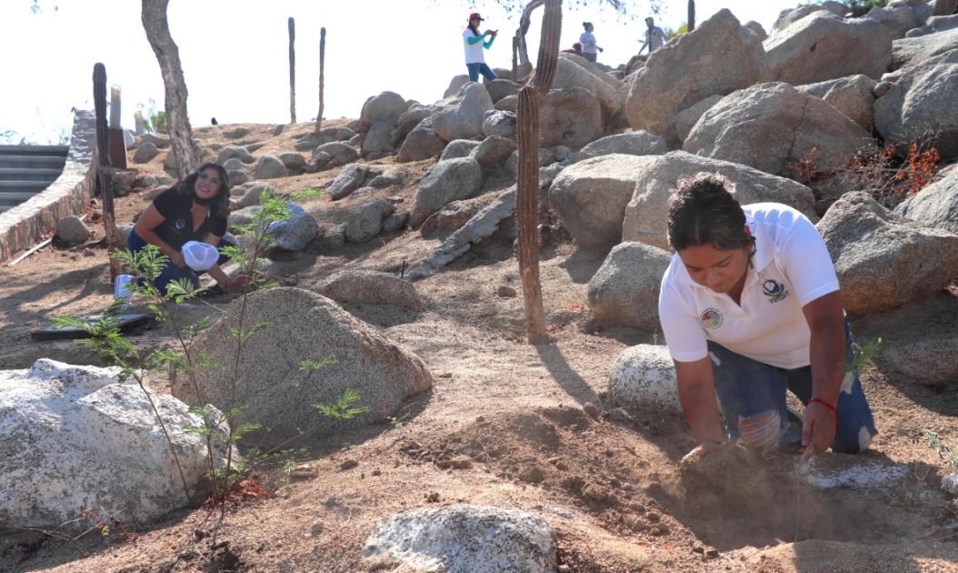 Celebran el “Día Mundial del Árbol” plantando Palo Blanco en el Cerrito ...