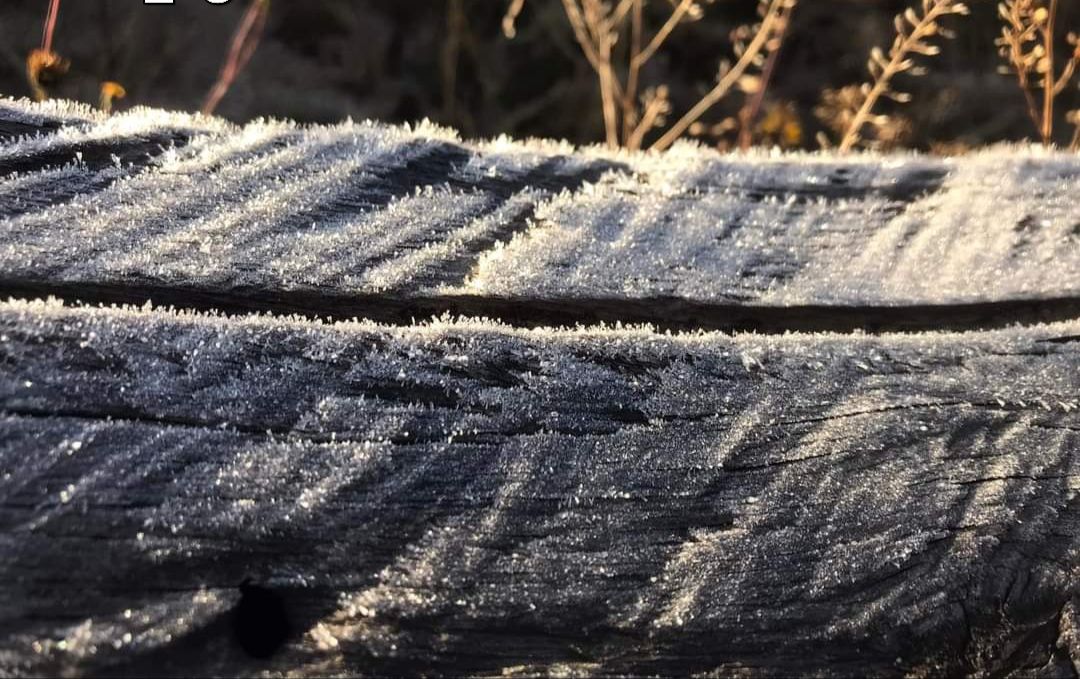 Zonas altas de BCS con mínimas de 0 a 5 °C y posibles heladas este ...
