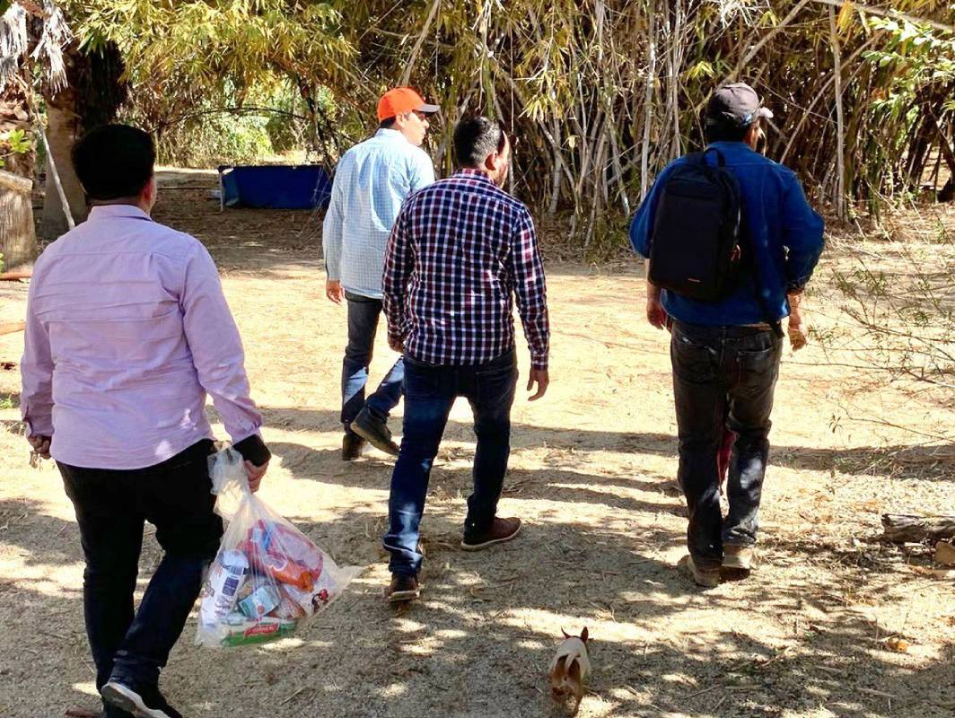 Ayuntamiento de Los Cabos proporciona atención permanente a las ...