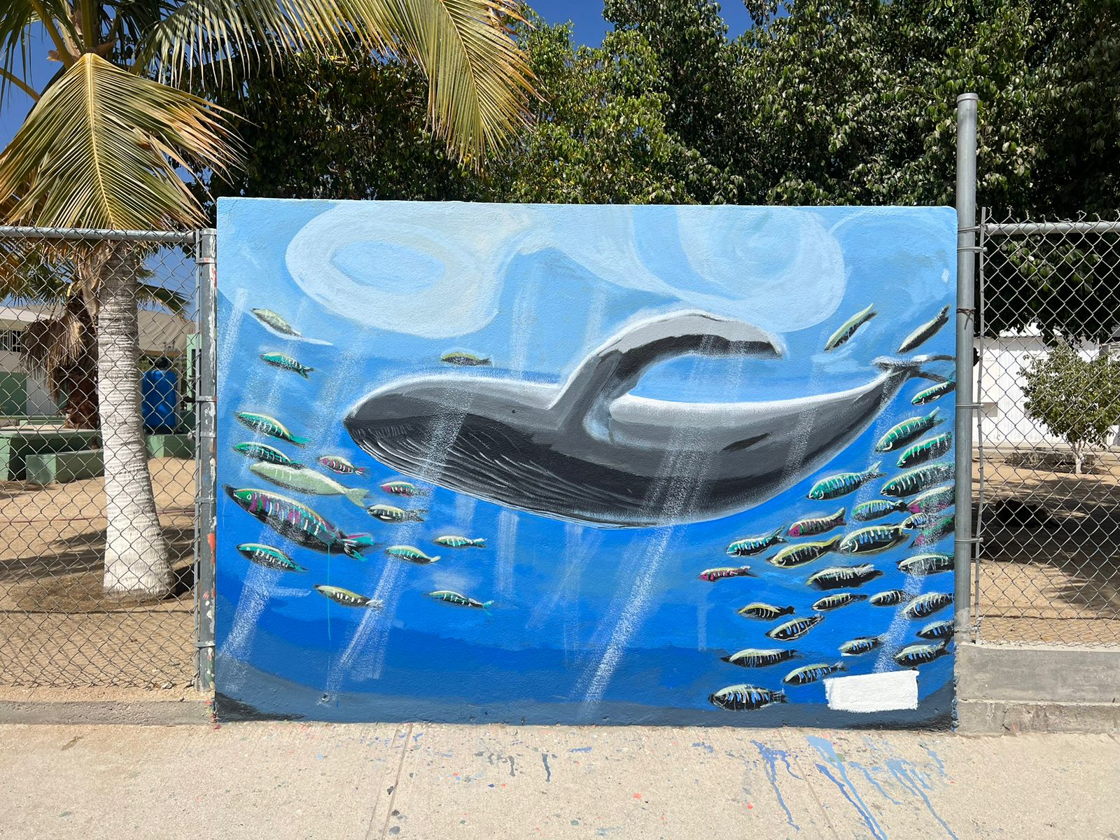 “Muros de Transformación” continúa plasmando arte local en escuelas de ...