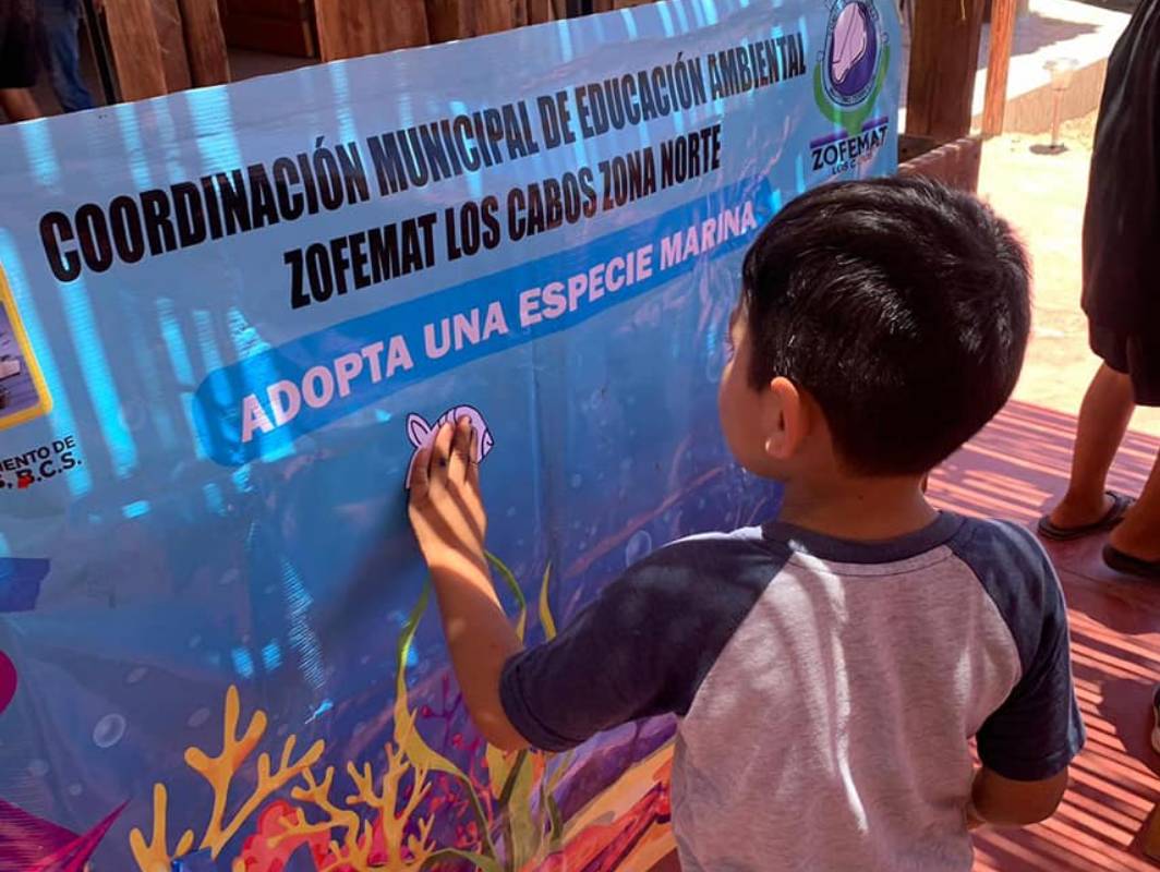 Con una jornada de concientización en Cabo Pulmo, celebró Zofemat Los ... Con una jornada de concientización en Cabo Pulmo, celebró Zofemat Los ...
