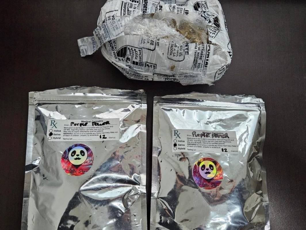 Encuentran Cocaína Y Marihuana En Empresa De Paquetería De La Paz Hoy Bcs