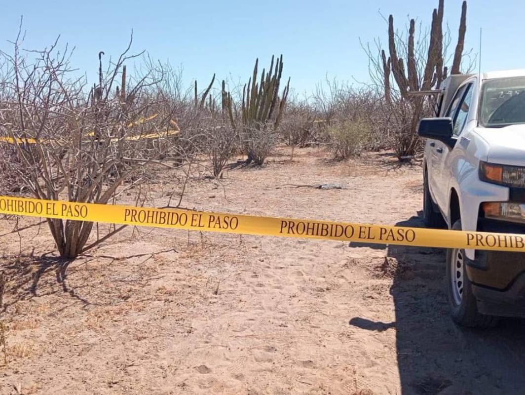 Colectivo de Búsqueda x La Paz localiza fosa clandestina con dos cuerpos - HOY BCS