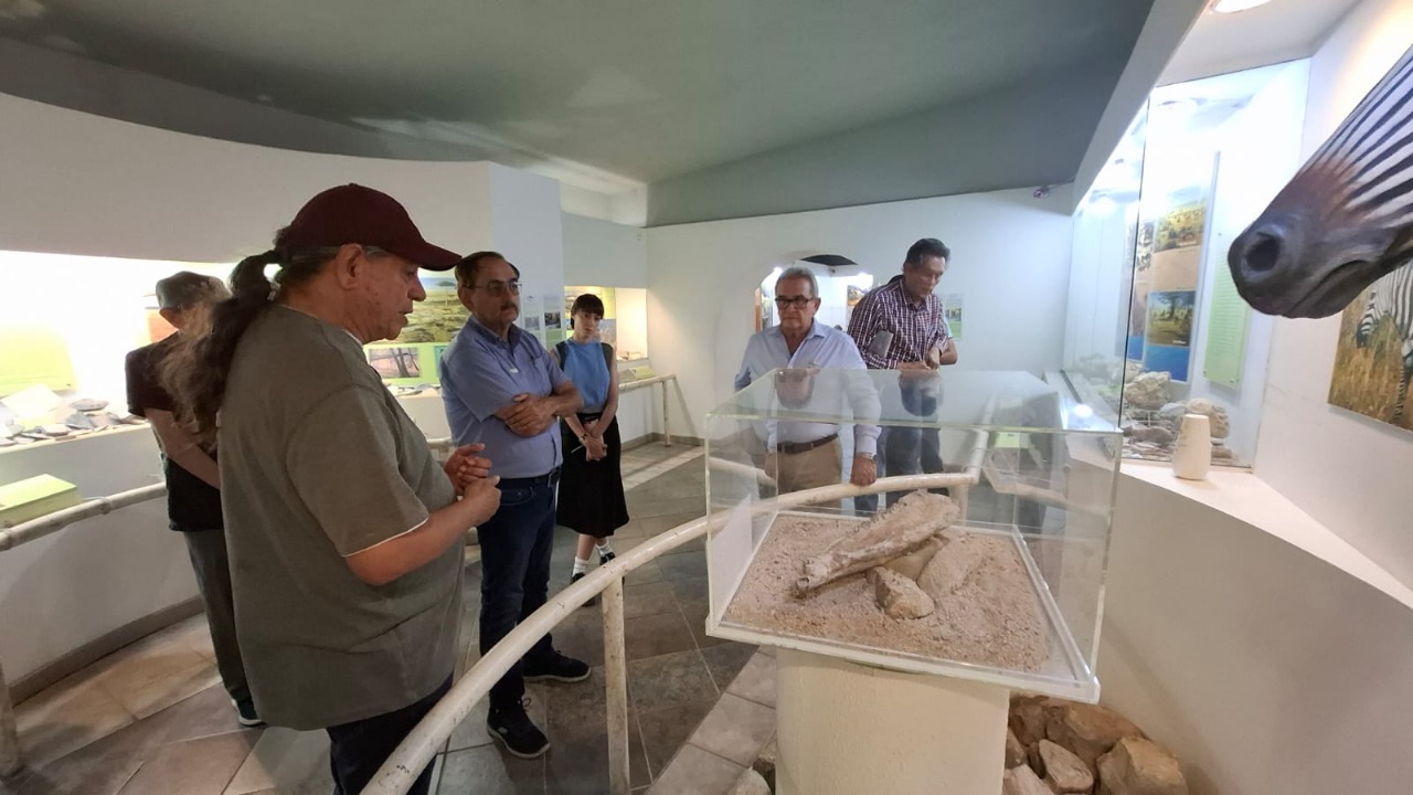 DAVID ROJO: MIRAR DEL SUELO AL CIELO… A LAS ESTRELLAS - HOY BCS