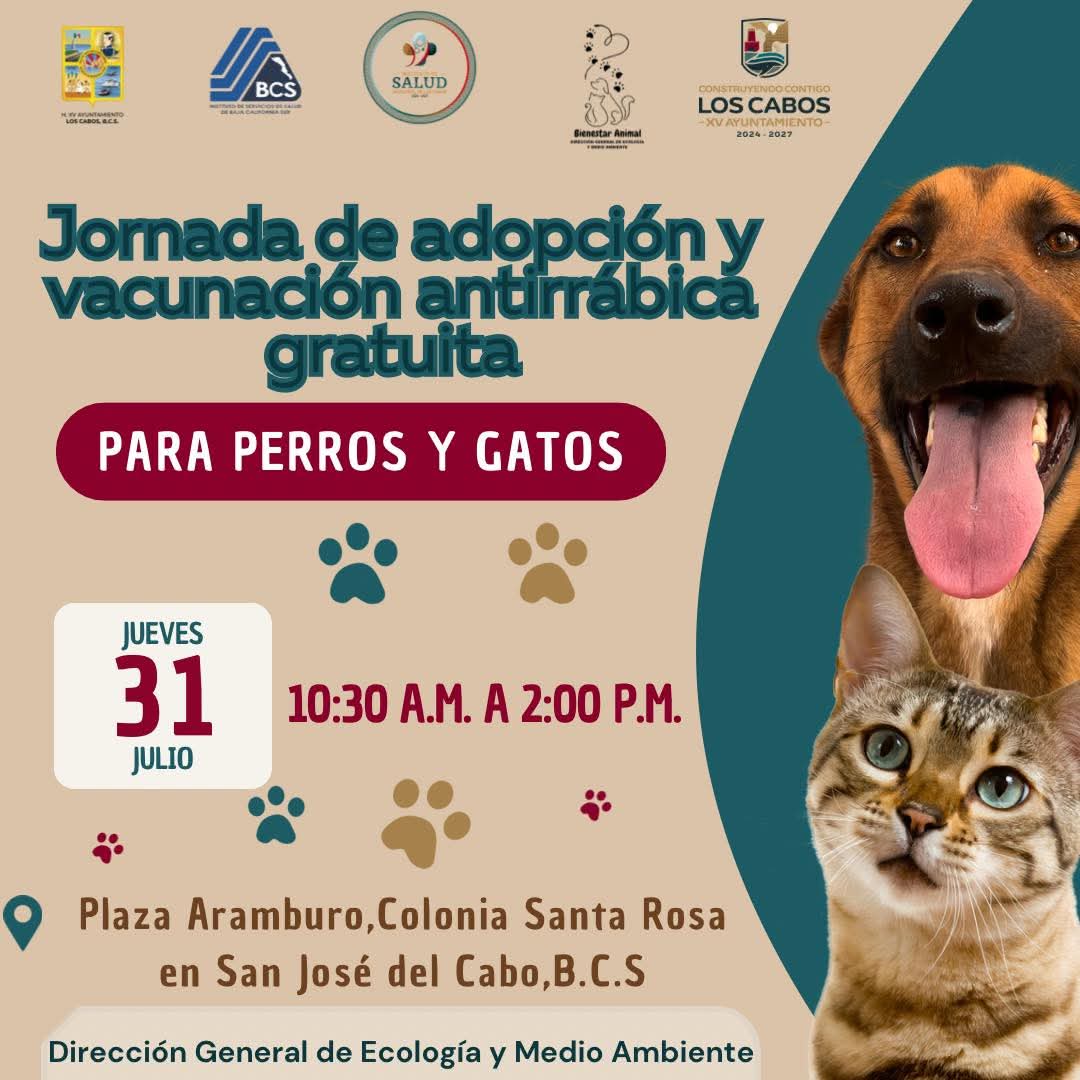 ¡Adopta, Vacuna y Cambia una Vida! Los Cabos Lanza su Primera Jornada ...